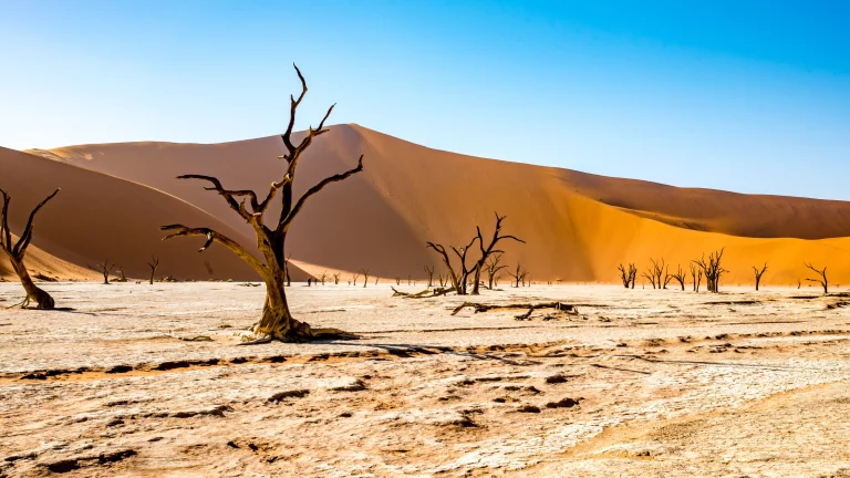 Rare Floods Turn Sahara Desert into Lake-Strewn Landscape